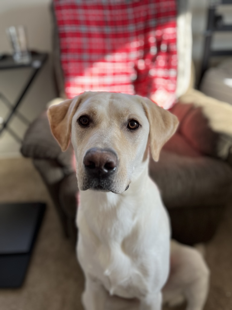 Jake Strasler - Personal